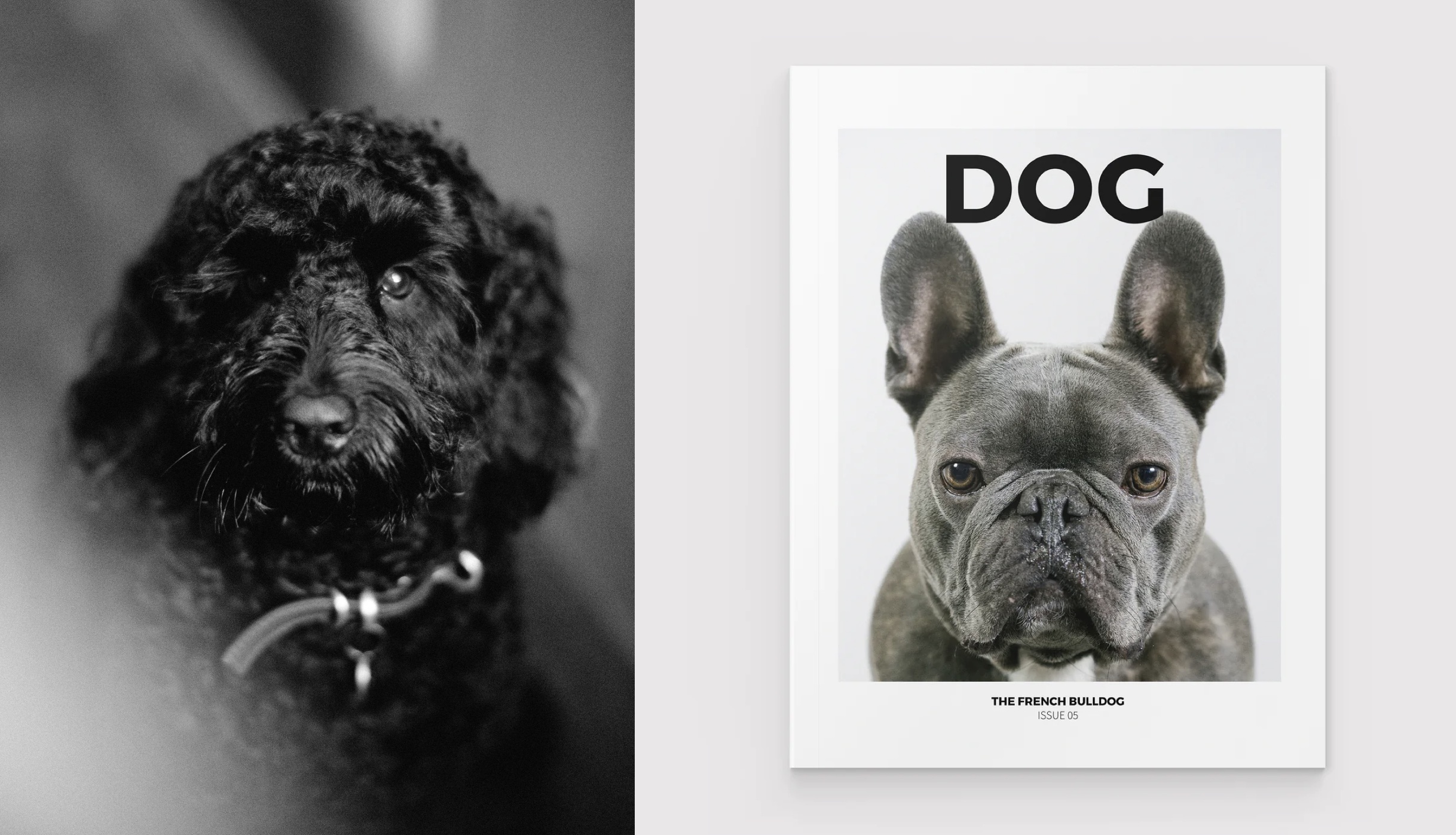 Interview: Playwright Simon Stephens on ‘The Curious Incident of the ...