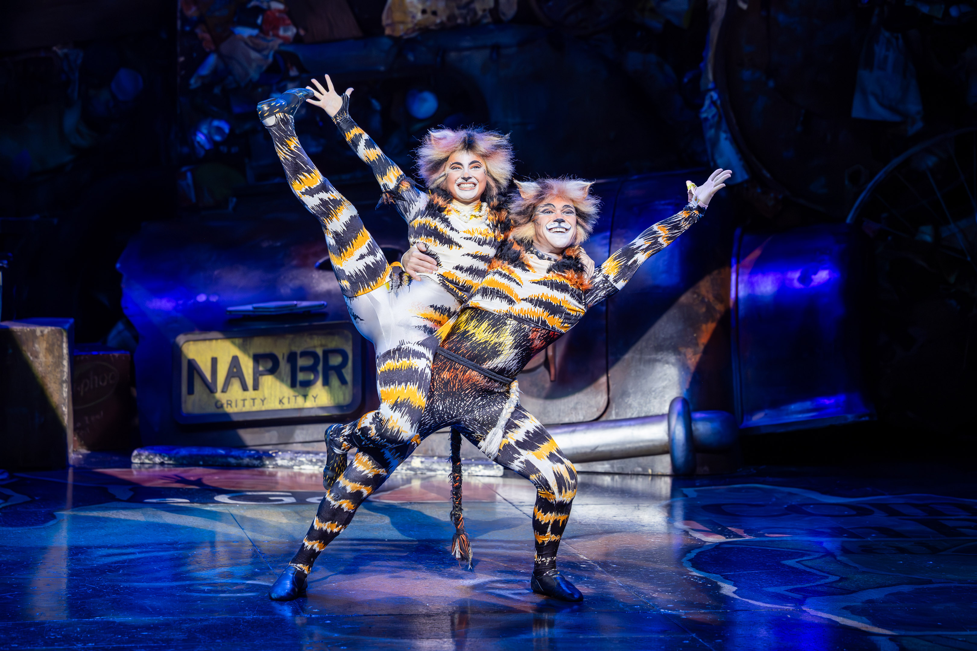 Cats (Theatre Royal) ★★★½ – Cultural Binge